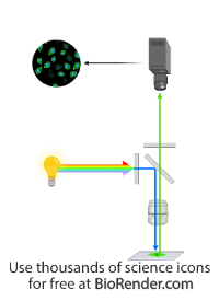 Free Light path (fluorescence microscope) Icons, Symbols & Images ...