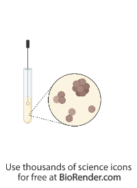 Free Bacteria sample collection Icons, Symbols & Images | BioRender