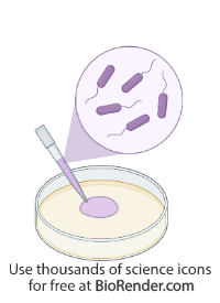 Free Transwell filter (with liquid) Icons, Symbols & Images | BioRender