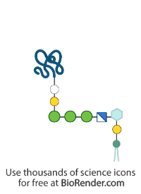 Free GPI-anchored protein Icons, Symbols & Images | BioRender