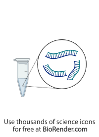 Free Histone Icons, Symbols & Images | BioRender