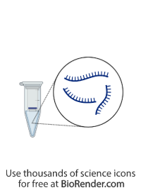 Free RNA extraction Icons, Symbols & Images | BioRender