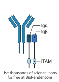 Free GABA-B1 Icons, Symbols & Images | BioRender