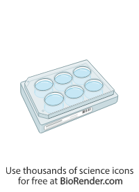 Free Well plate (6 wells, 3D, with label) Icons, Symbols & Images ...