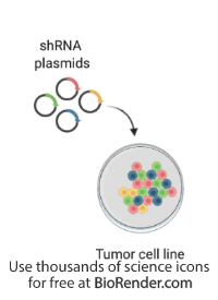 Free shRNA screen Icons, Symbols & Images | BioRender