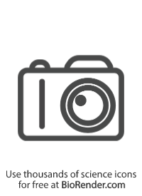 Free Digital camera Icons, Symbols & Images | BioRender