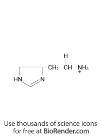 Free Histamine Icons, Symbols & Images | BioRender