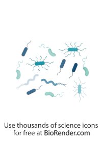 Free Microbiome Icons, Symbols & Images | BioRender