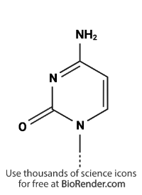 Free Cytosine (structural formula) Icons, Symbols & Images | BioRender