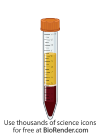Free Falcon tube (15mL, blood after centrifugation, 2/3 liquid, with cap) Icons, Symbols ...