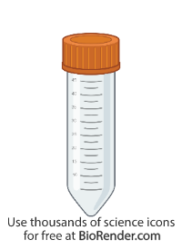 Free Falcon tube (50mL, with cap) Icons, Symbols & Images | BioRender
