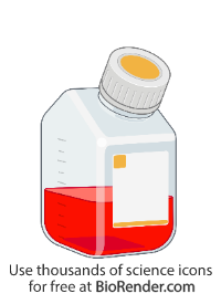 Free Cell culture flask (T75) Icons, Symbols & Images | BioRender