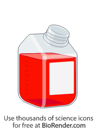 Free Medium flask (full liquid) Icons, Symbols & Images | BioRender