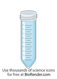 Free Falcon tube (50mL, full liquid) Icons, Symbols & Images | BioRender
