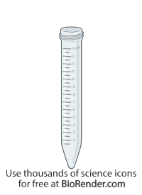 Free Falcon tube (15mL) Icons, Symbols & Images | BioRender