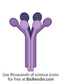 Free C1 complex Icons, Symbols & Images | BioRender