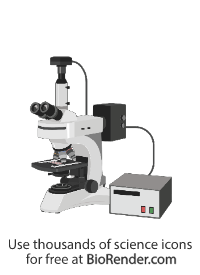 Free Fluorescence microscope (with microfluidic slide 2) Icons, Symbols ...