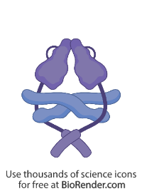 Free Amyloid-beta plaque (diffuse) Icons, Symbols & Images | BioRender