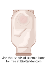 Free Ostomy system Icons, Symbols & Images | BioRender
