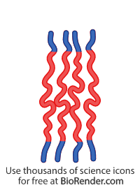 Free Polymersome (monomers) Icons, Symbols & Images | BioRender