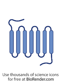 Free GPCR (editable) Icons, Symbols & Images | BioRender
