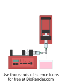 Free Encapsulation process Icons, Symbols & Images | BioRender