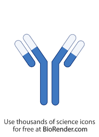 Free Antibodies Icons, Symbols & Images | BioRender
