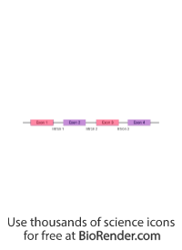 Free RNA Icons, Symbols & Images | BioRender