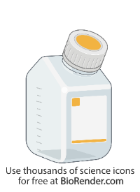 Free Medium flask (with cap) Icons, Symbols & Images | BioRender