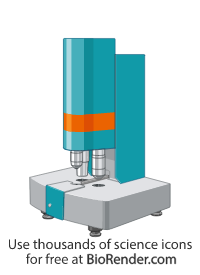 Free Light-sheet fluorescence microscope (UltraMicroscope Blaze) Icons ...