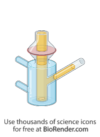 Free Franz diffusion cell Icons, Symbols & Images | BioRender