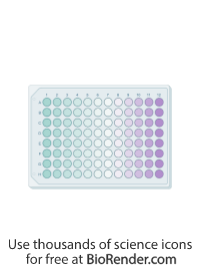 Free Well plate (96 wells, top view, green and purple gradient ...