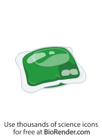 Free Washing capsule Icons, Symbols & Images | BioRender