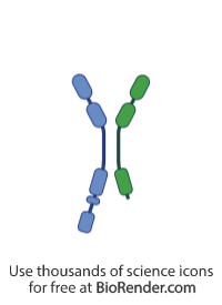 Free IL-17A receptor Icons, Symbols & Images | BioRender