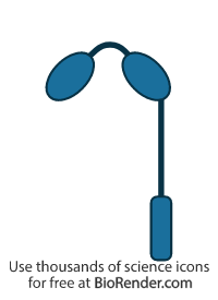 Free Fc receptor (CD32) Icons, Symbols & Images | BioRender