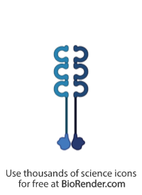 Free IL-1 complex Icons, Symbols & Images | BioRender