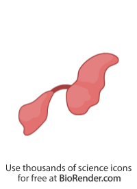 Free ATPase Icons, Symbols & Images | BioRender