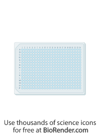 Free Well plate (top view, 384 wells) Icons, Symbols & Images | BioRender
