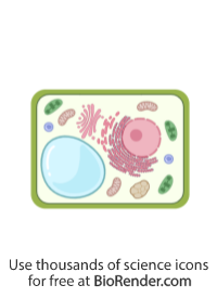 Free Generic Cells Icons, Symbols & Images | BioRender