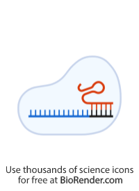 Free ATPase Icons, Symbols & Images | BioRender