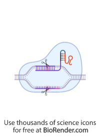 Free mRNA vaccine (curved, with neoantigens) Icons, Symbols & Images ...