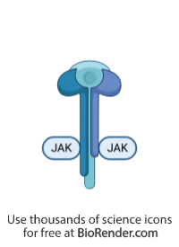 Free IL-2 (high affinity) Icons, Symbols & Images | BioRender