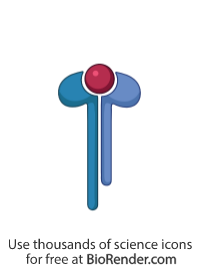 Free IL receptor-ligand pair Icons, Symbols & Images | BioRender