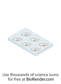 Free 6 well plate (with microfluidic devices) Icons, Symbols & Images ...