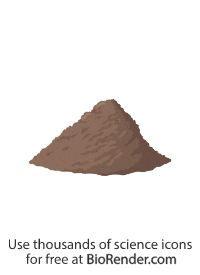 Free Ant colony Icons, Symbols & Images | BioRender