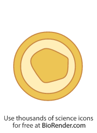 Free Peroxisome (simple) Icons, Symbols & Images | BioRender