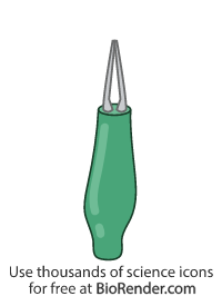 Free Alligator clip Icons, Symbols & Images | BioRender