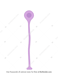 Free Unipolar neuron (growth cone 2) Icons, Symbols & Images | BioRender