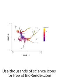 Free UMAP clustering (scRNA data, pseudotemporal analysis) Icons ...