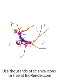 Free scRNA data Icons, Symbols & Images | BioRender